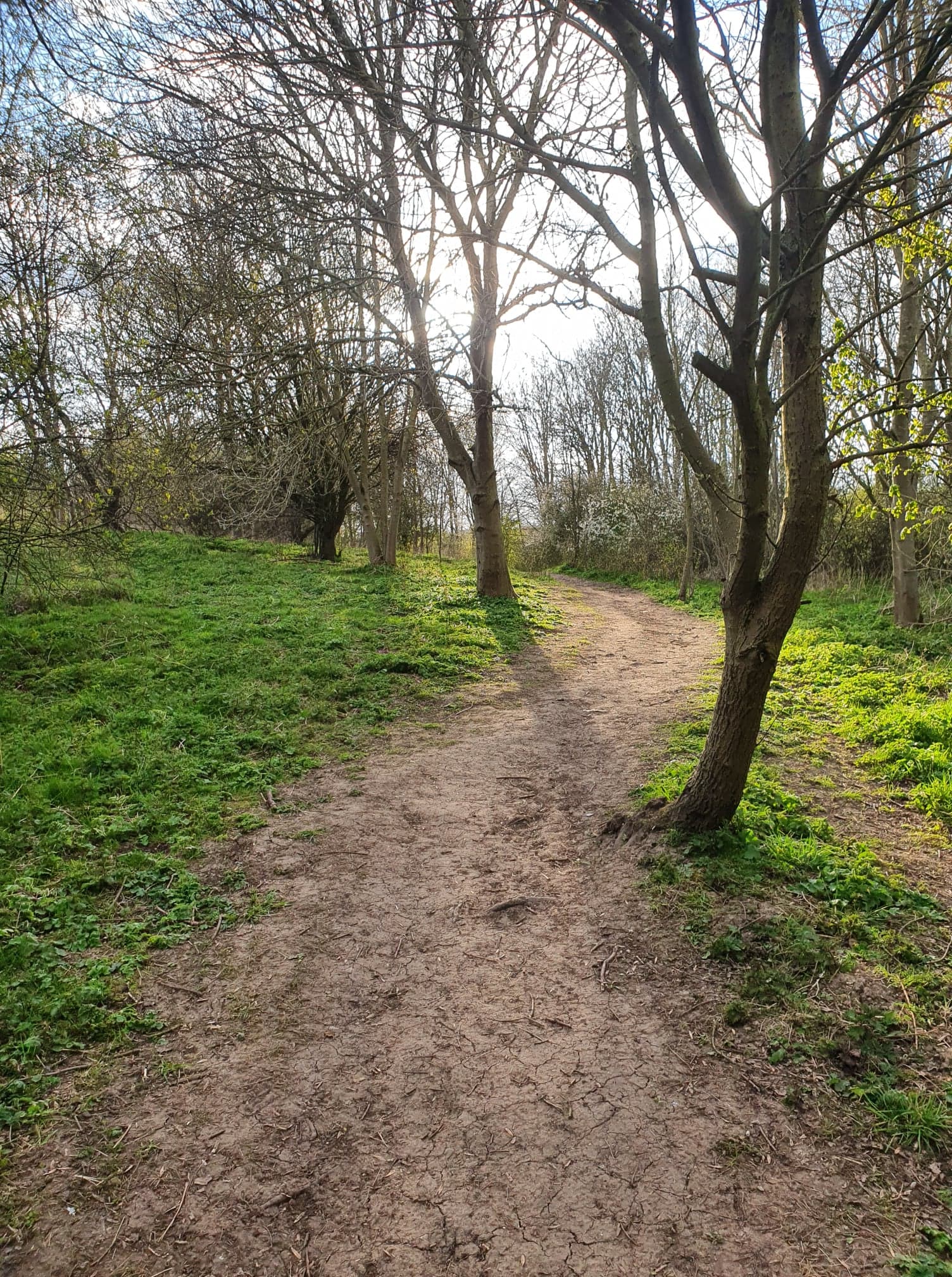 Cowpen Woodland Park – The Stockton-on-Tees Active Travel Hub